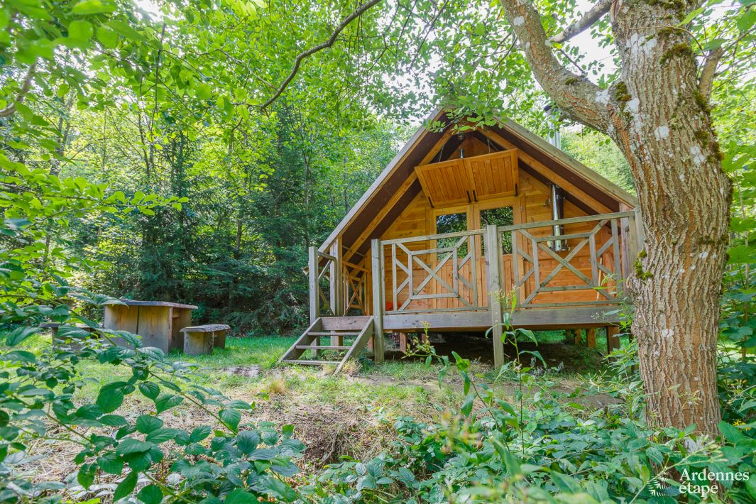 Eenvoudige, doch comfortabele en knusse vakantiewoning in Houffalize